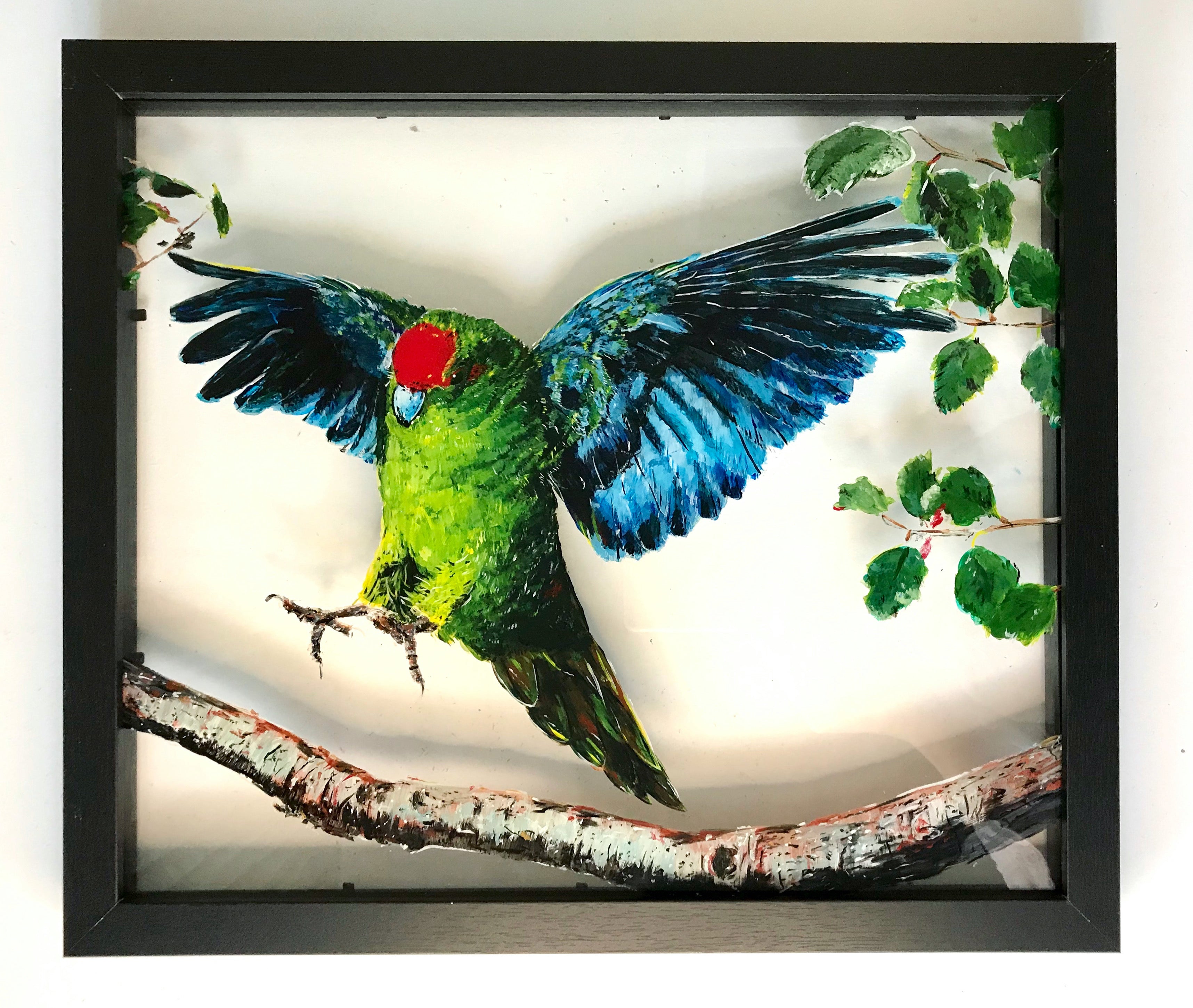 Native New Zealand Birds – Hanna Studio